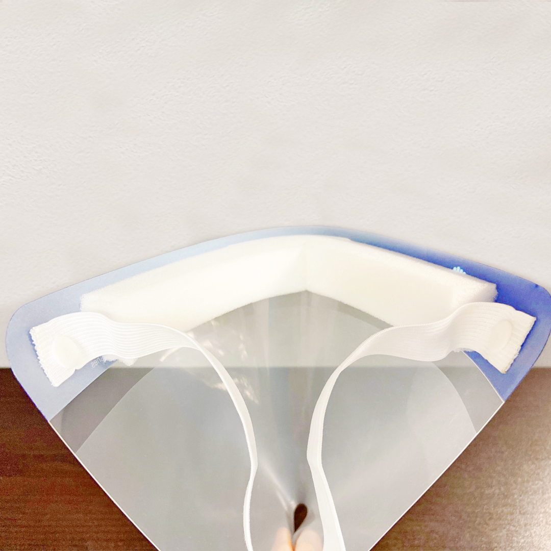 Disposable Face Shield (10/50/100 pack)